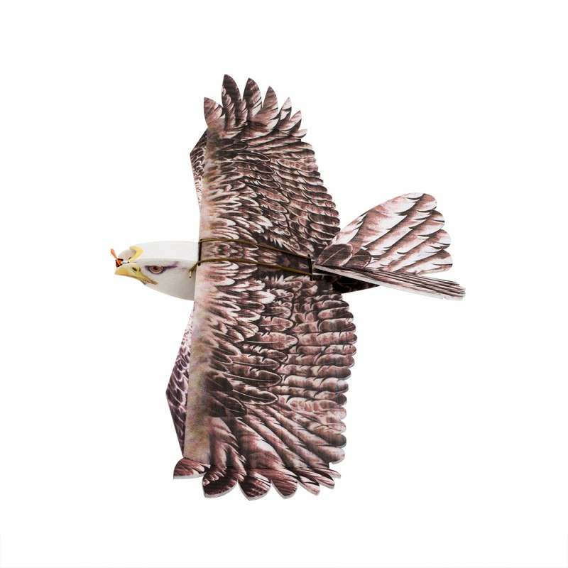 Aigle Eagle II 1m43 E19 EPP Kit PNP DW Hobby - E1904