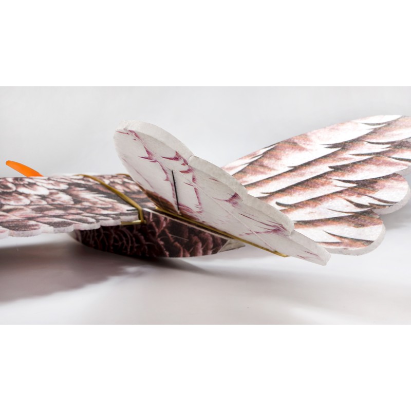 Aigle Eagle II 1m43 E19 EPP Kit PNP DW Hobby - E1904