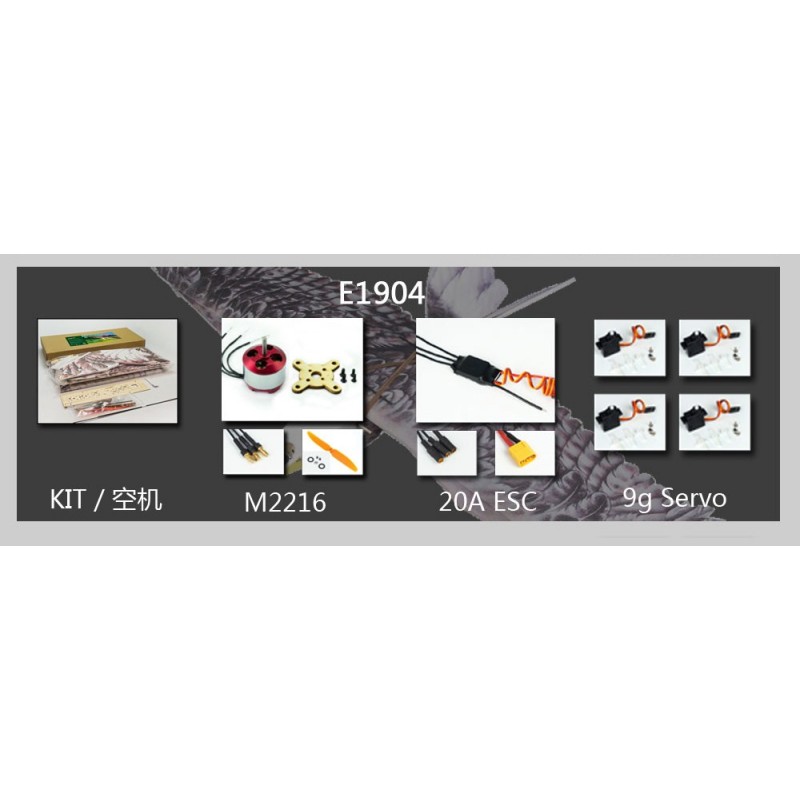 Aigle Eagle II 1m43 E19 EPP Kit PNP DW Hobby - E1904