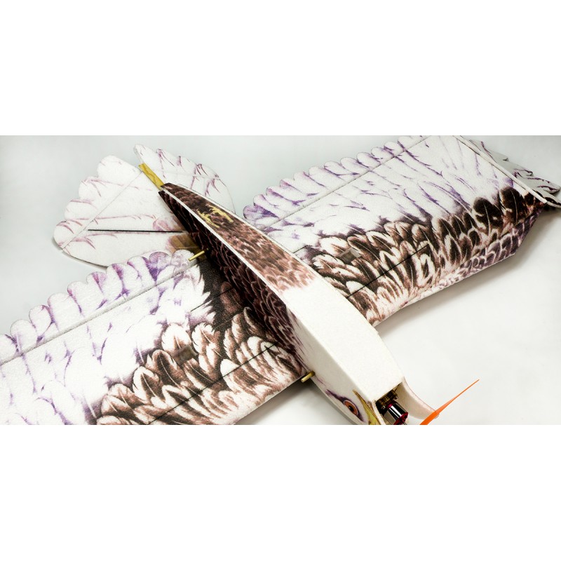 Aigle Eagle II 1m43 E19 EPP Kit DW Hobby - E1901