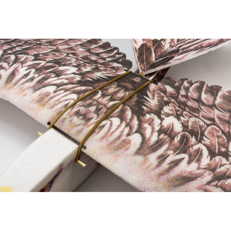 Aigle Eagle II 1m43 E19 EPP Kit DW Hobby - E1901