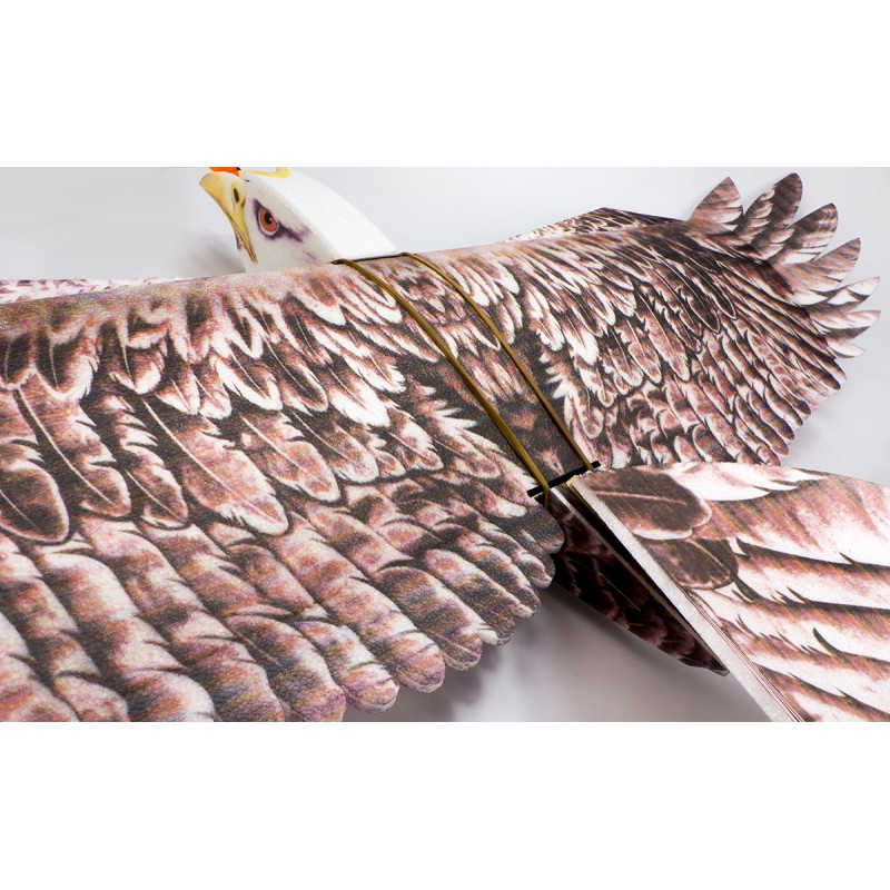 Aigle Eagle II 1m43 E19 EPP Kit DW Hobby - E1901