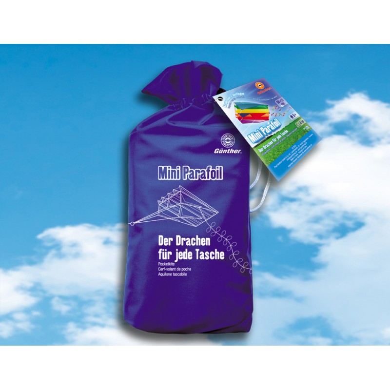 Mini Parafoil Kite - Gunther - GUN-1173