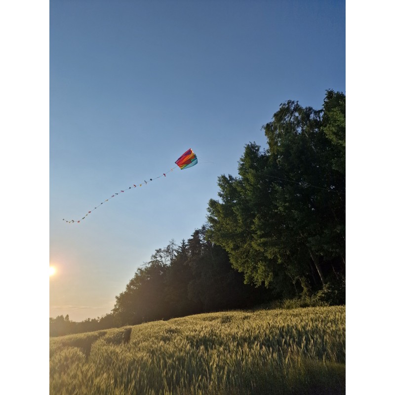 Mini Parafoil Kite - Gunther - GUN-1173