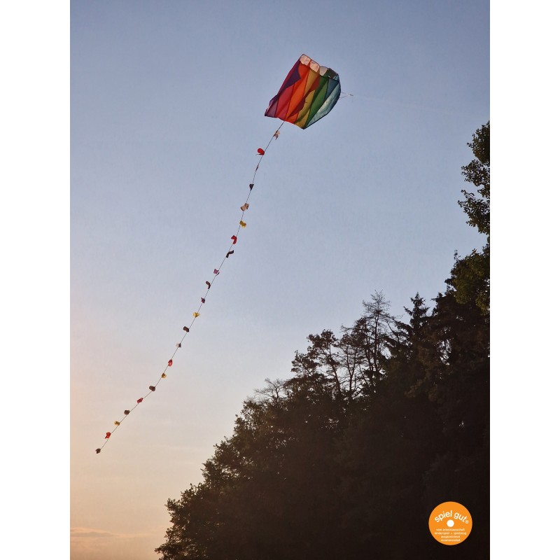 Mini Parafoil Kite - Gunther - GUN-1173