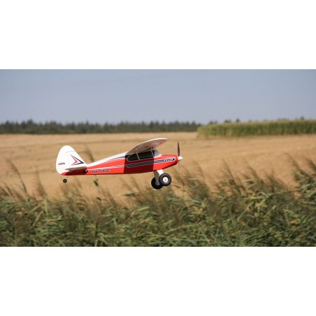 Pacer RR 1.15m Multiplex - 1-02783